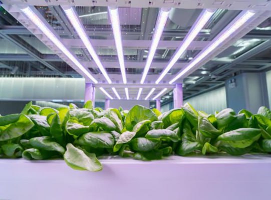 LIGHTING SYSTEMS - Green Climate