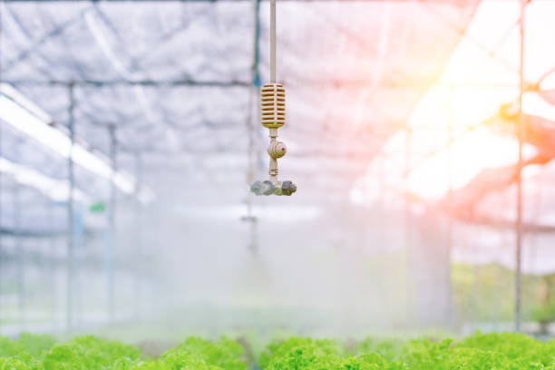 HUMIDITY CONTROL IN GREENHOUSES: THE IMPORTANCE OF AIR CONDITIONING ...