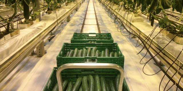 CO2 Fertilization: The Key to Increasing Productivity - Green Climate